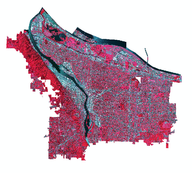 Using NAIP Imagery and a Texture Raster to Model the Urban Forest ...