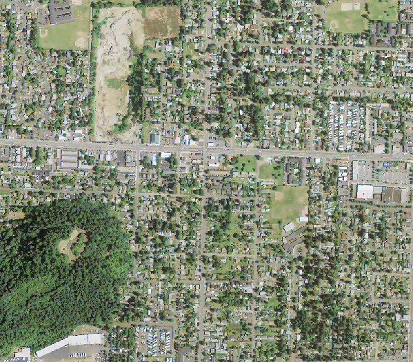 Using NAIP Imagery and a Texture Raster to Model the Urban Forest ...